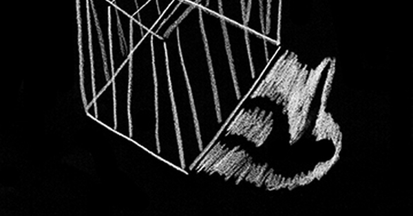 La Cage