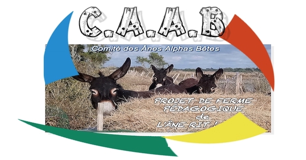 Comité des Ânes Alphas Bêtes