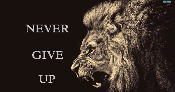 Never Give Up