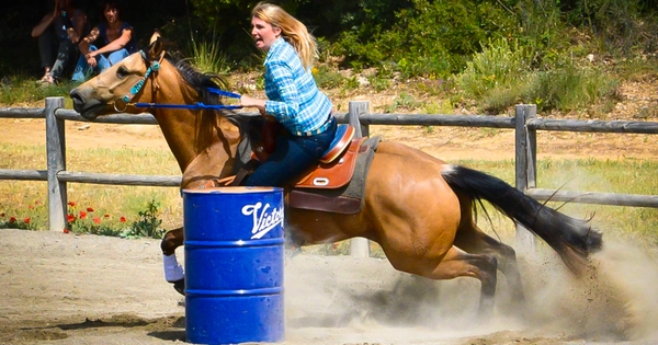 Performance Barrel Racing