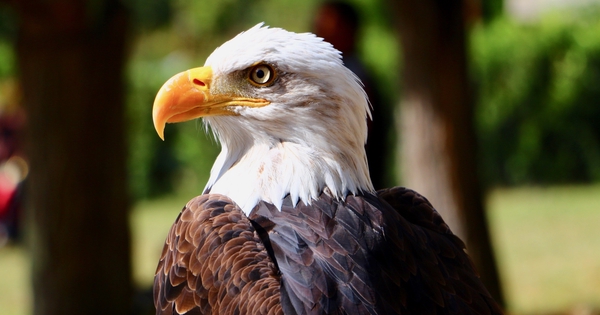 max photos fremont - Ulule