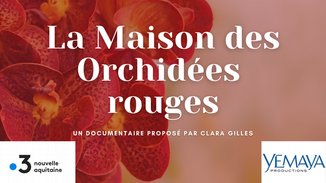 Bordeaux: la Maison des Orchidées Rouges - Ulule