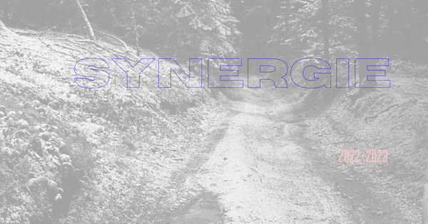 SYNERGIE