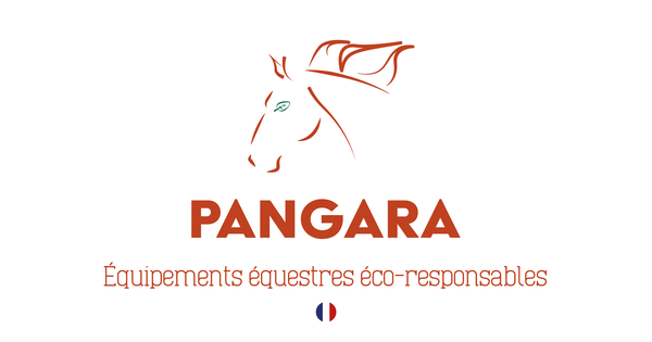 Pangara France