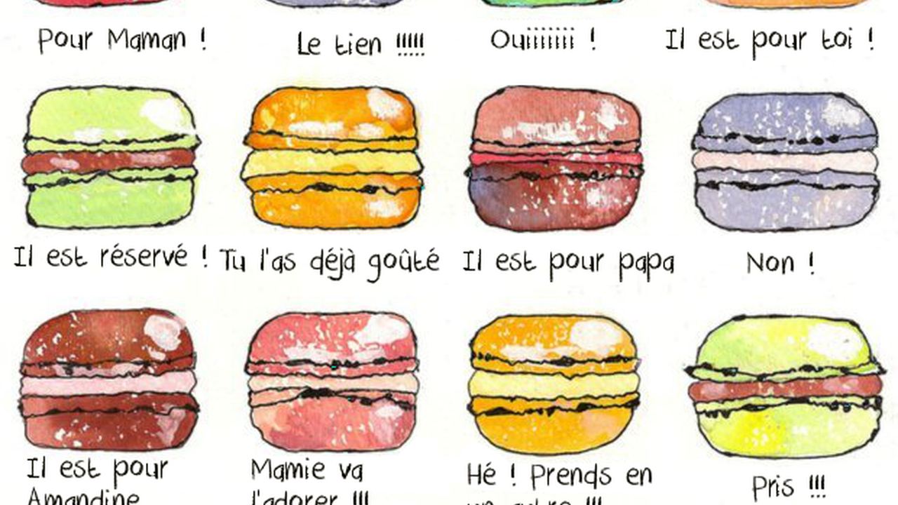 Macarons à profusion !!! - Ulule