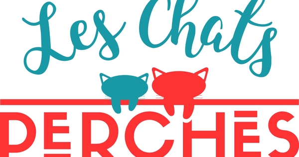 Les Chats Perchés - Café jeu - Boutique