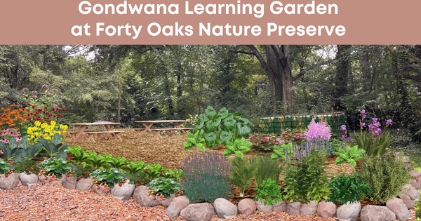 Gondwana Learning Garden - Ulule