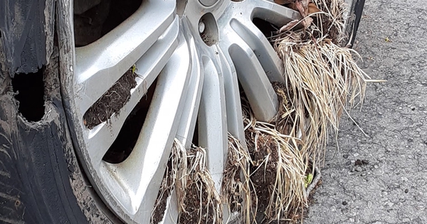 "Mobile Tire Replacement: Transforming Roadside Assistance" - Ulule
