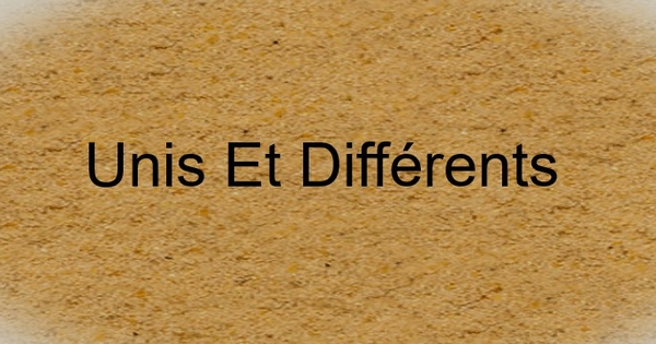 Financement du site interactif Unis Et Différents - Ulule