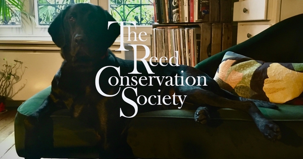 Join THE REED CONSERVATION SOCIETY today ! - Ulule