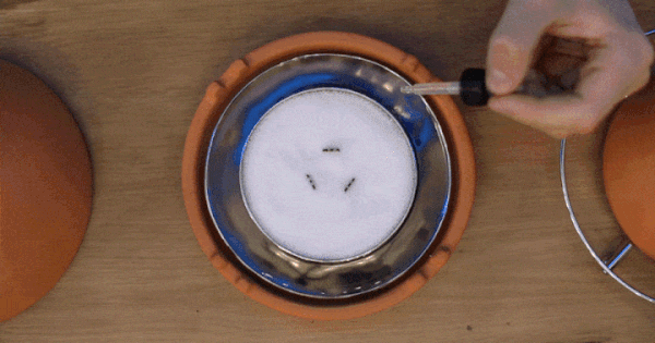 Egloo – Candle-driven diffuser - Ulule