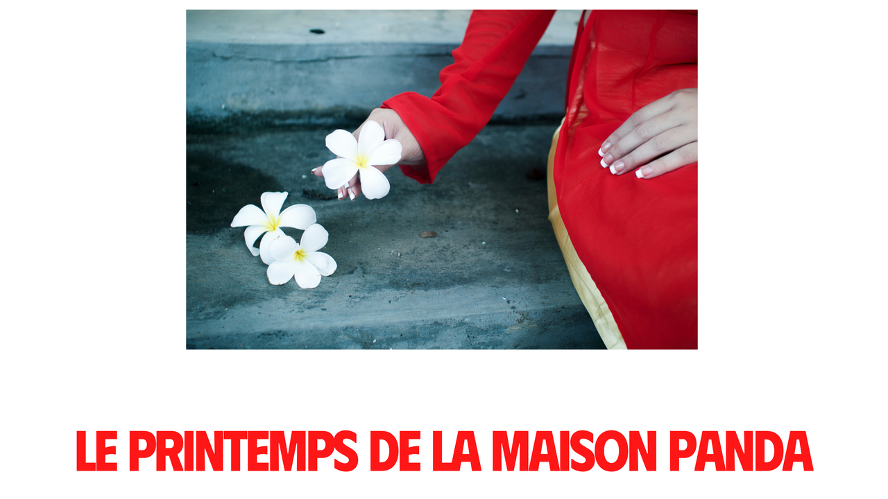 Le printemps (Mùa xuân) de La maison Panda - Ulule