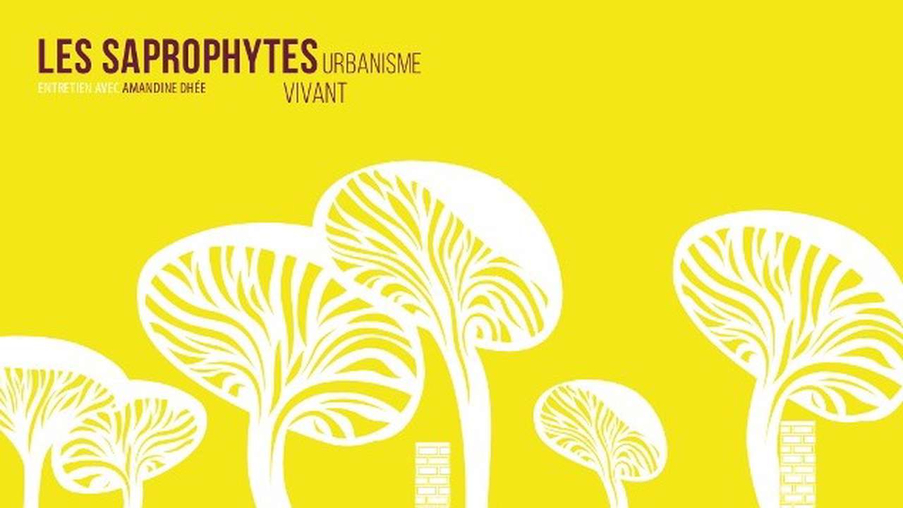 Les Saprophytes, Urbanisme Vivant - Ulule