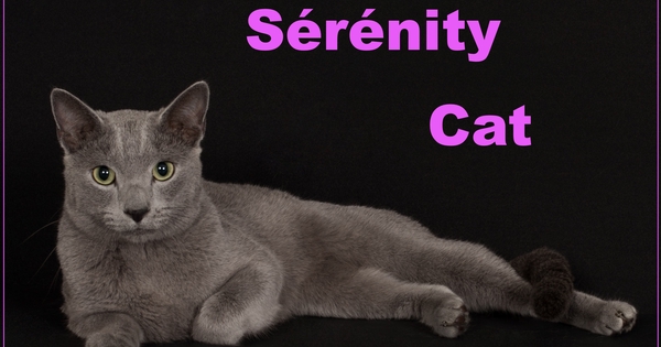Sérénity Cat