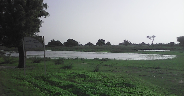 Le Bio du Sénégal - Ulule