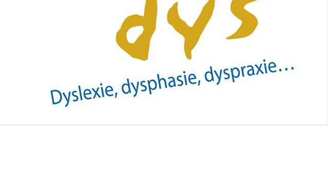 A LA DECOUVERTE DES DYS