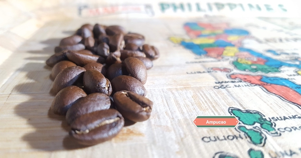 Philippines specialty coffee