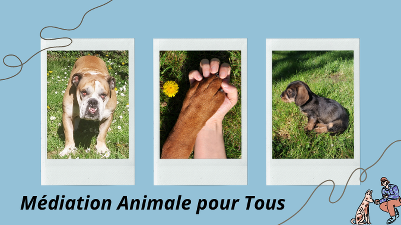 La Médiation animale pour tous