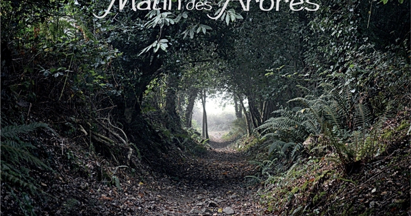 Matin des Arbres - Ulule