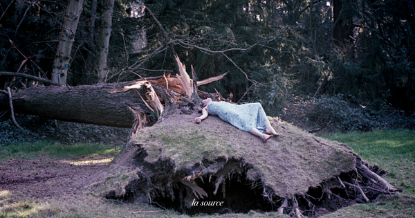 Premier Album - La Source - Ulule