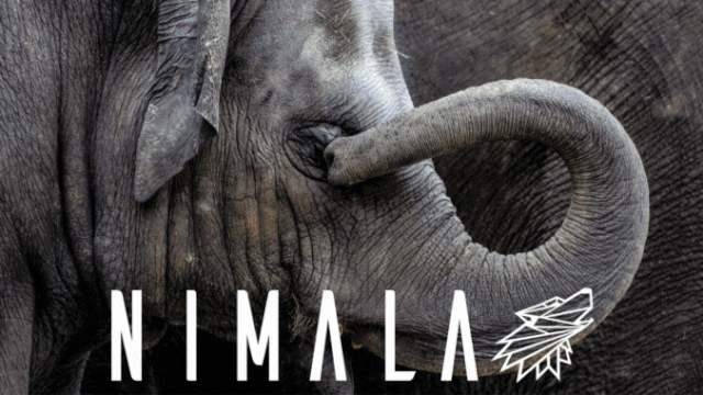 NIMALA, l'animal qui sommeille en toi. - Ulule