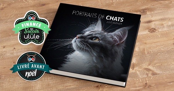 Portraits de chats - Ulule