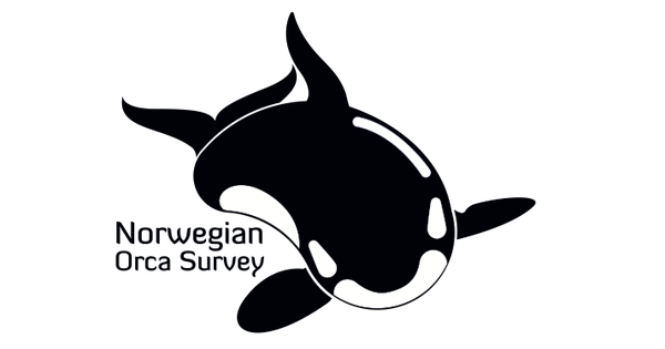 Safeguarding Norwegian orcas