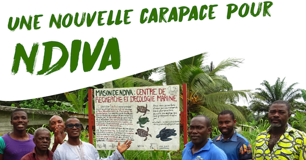 Une nouvelle carapace pour Ndiva