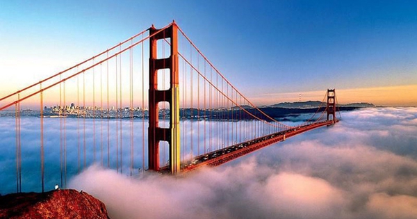 California Next Stop