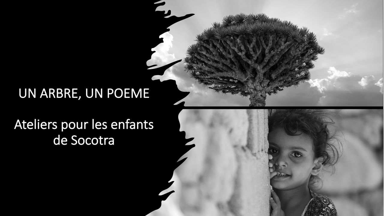 UN ARBRE, UN POEME - Ulule