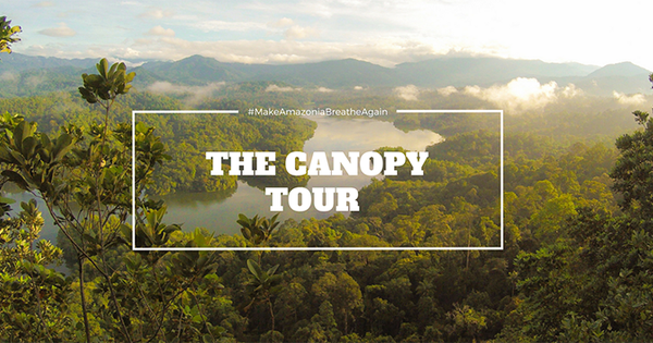 The Canopy Tour