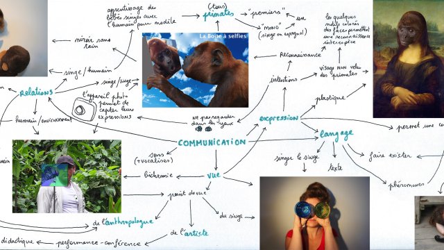 Relations Simiesques - Ulule