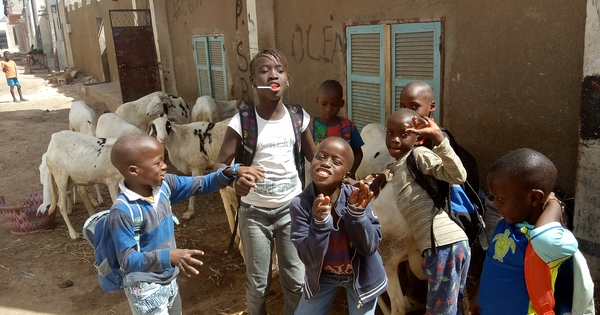 Sénégal: Ecole Ker Xaleyi - Projet solidaire