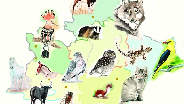 Livre sur Les Animaux emblématiques de Provence - Ulule