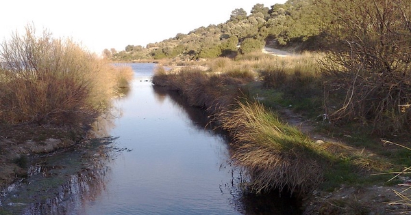 Save the Erasinos River