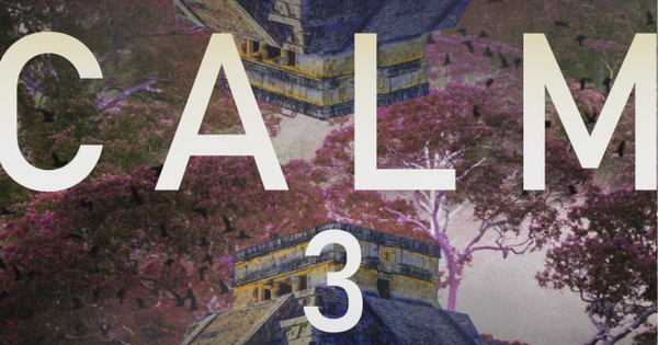 Financement de l'album Calm 3