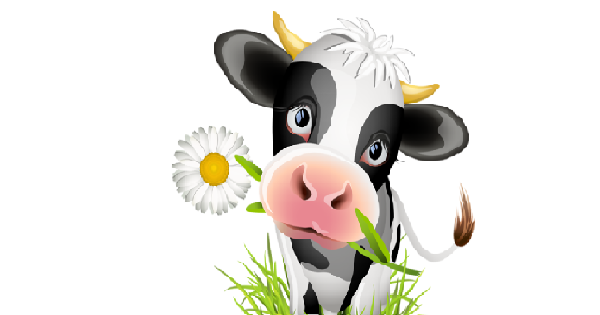 GLAMPING DES 2 MARGUERITES