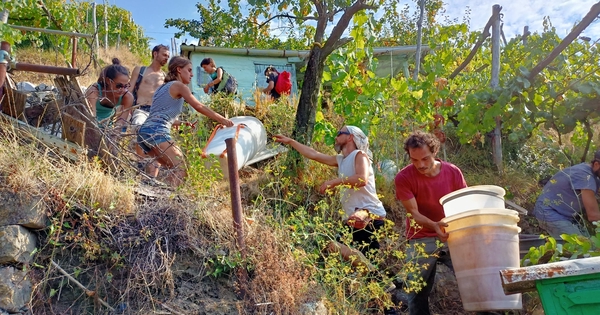 If I can't dance it's not my revolution - Ulule