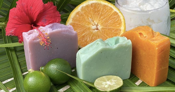 Faire grandir la case à savon - Ulule