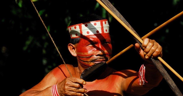 protéger l'Amazonie par l'Art et la Culture - Ulule