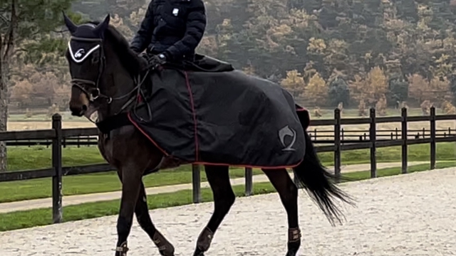 WET CAPE LA CAPE COUVRE-REINS IMPERMÉABLE ET RESPIRANTE POUR LE CHEVAL ...