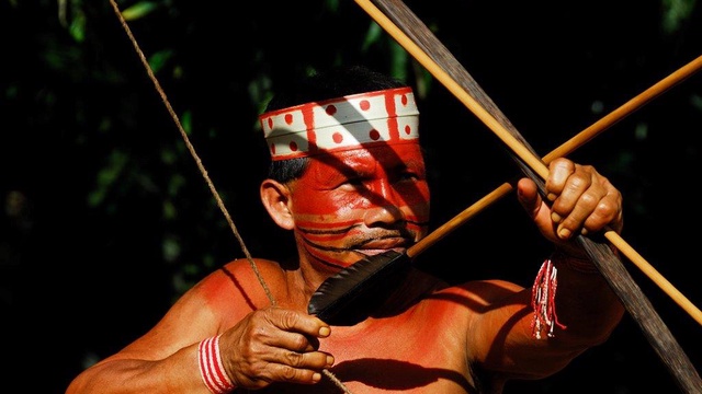 protéger l'Amazonie par l'Art et la Culture - Ulule