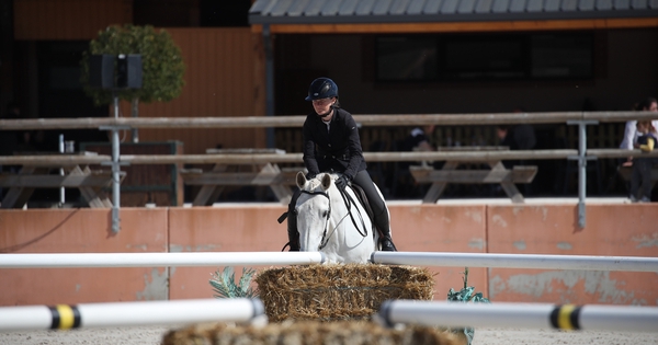 Le hunter, l'avenir de l'équitation aux couleurs du respect