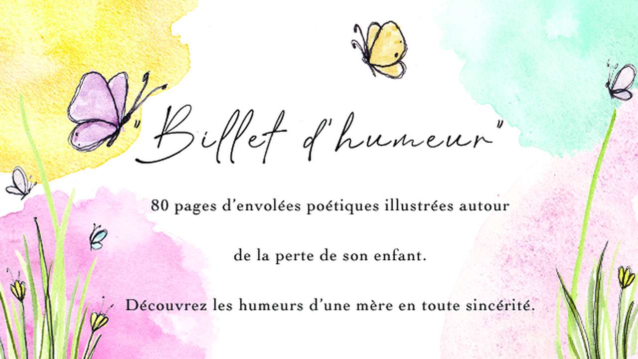 "Billet d'humeur" - Ulule