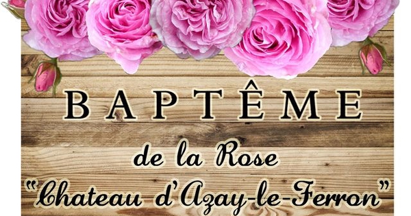 Baptême de la Rose "Château d'Azay-Le-Ferron" - Ulule