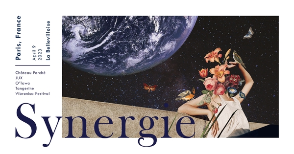 Synergie helps Ukraine - Ulule