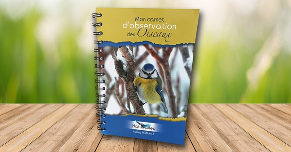 MON CARNET D'OBSERVATION DES OISEAUX - Ulule