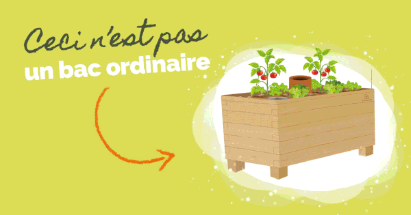 BioclimaKIT - Bacs de culture Autofertiles