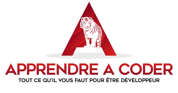 Apprenez à coder en ligne avec Dubromez.com