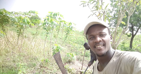 CREATION D'UNE FERME AGROPASTORALE au Togo - Ulule